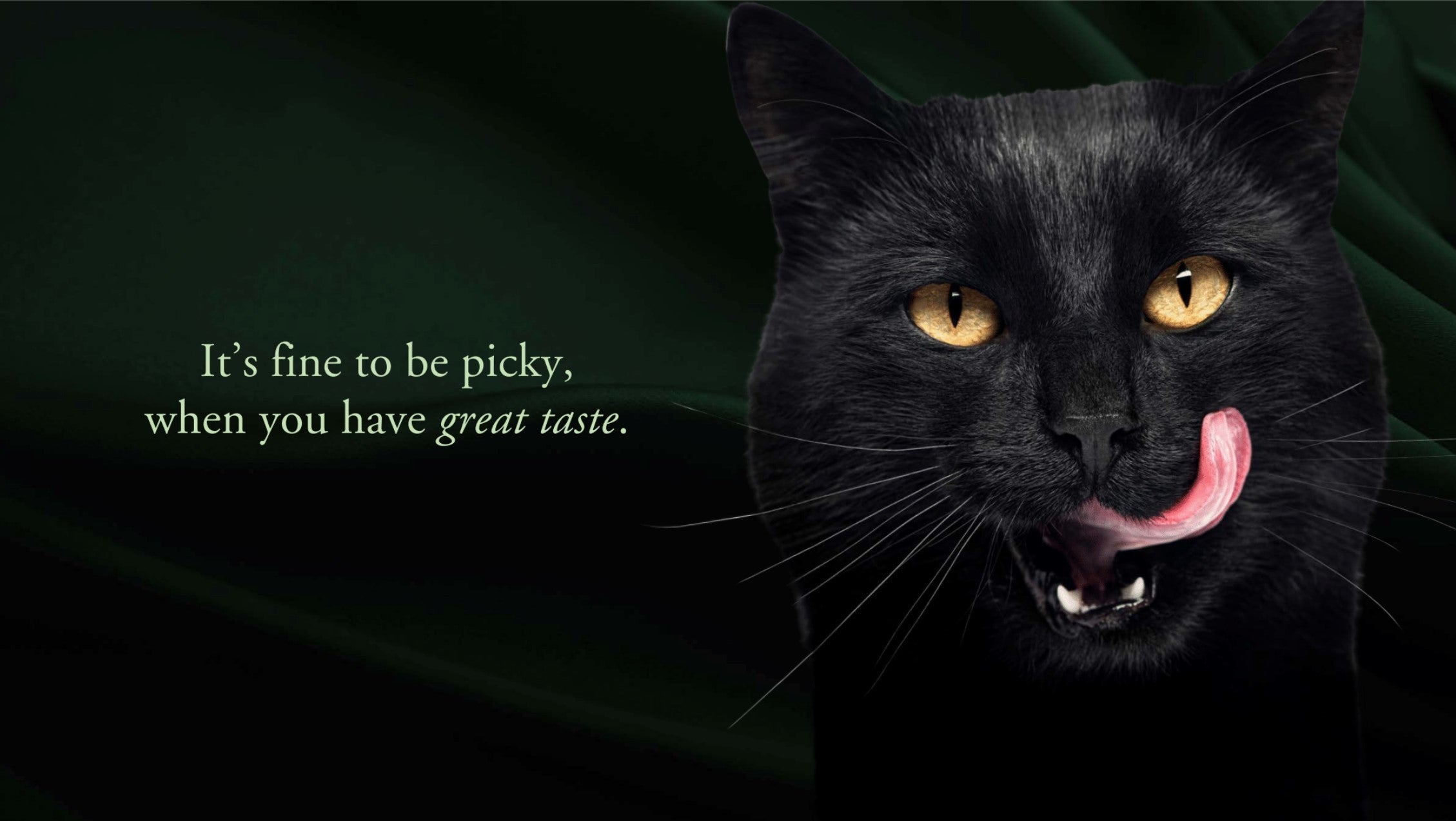 PurrSnickitty – Fromm Family Foods Shop